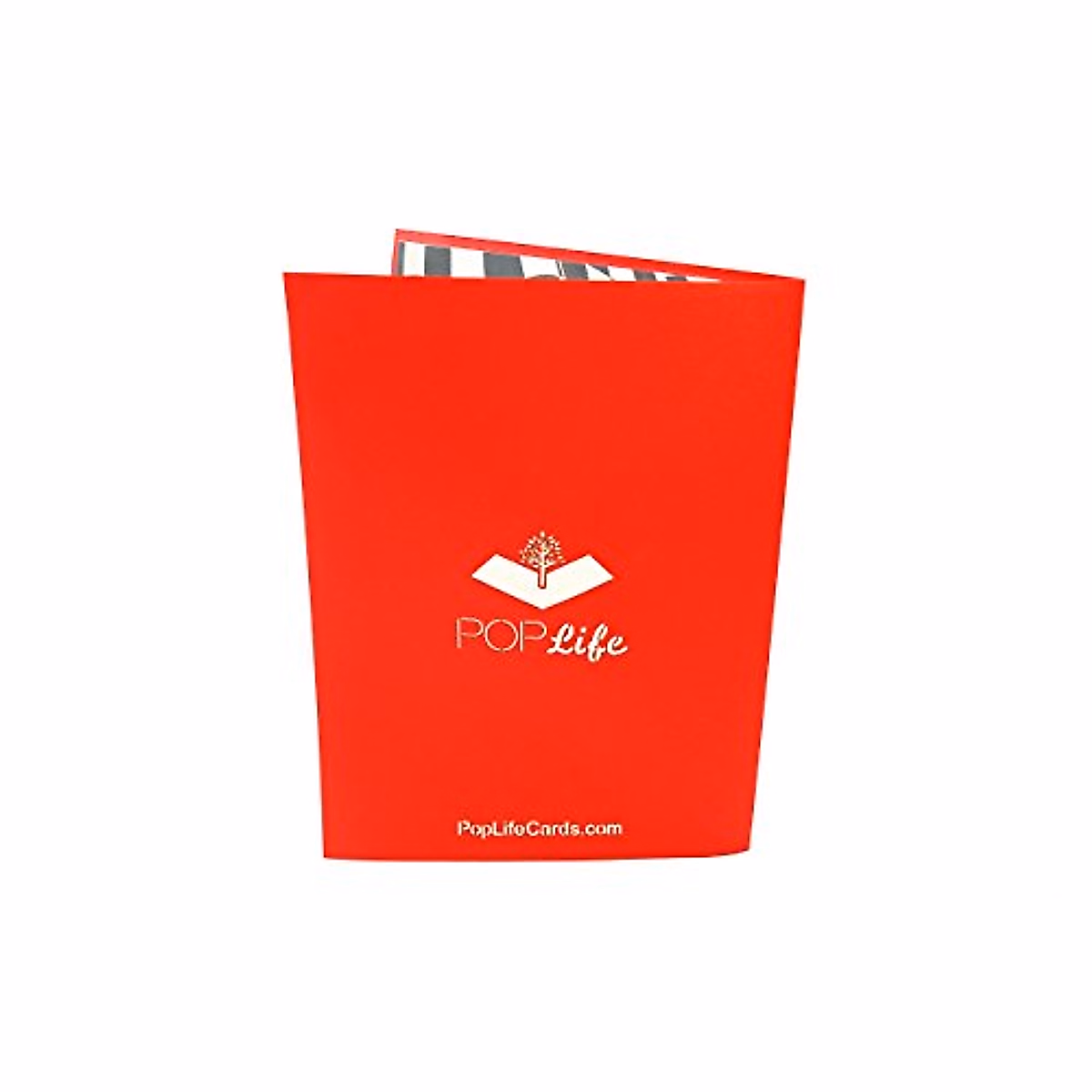 PopLife Formula One Car 3D Pop Up Card for All Occasions - Father’s Day, Happy Birthday, Congratulations, Retirement Gift, Work Anniversary - Race Car Drivers, F1 - for Husband, Son, Father, Friend