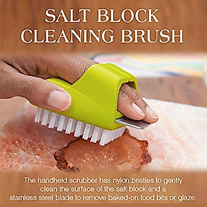 Charcoal Companion CC4108 HIMALAYAN SALT PLATE SCRUBBER BRUSH