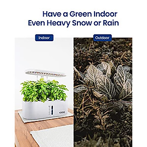 iDOO 10Pods Indoor Garden & Accessories Kit