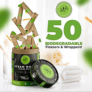 Individually Wrapped Dental Floss Picks - Biodegradable Plastic Free Flosser Handle & Packaging | Natural Toothpick Stick Soft On Gums & Teeth | Eco Friendly, Zero Waste, Organic Flossers | Mint, 50x