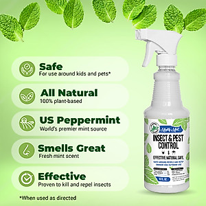 Mighty Mint 16 oz Peppermint Oil Insect & Pest Spray - for Spiders, Ants, and More