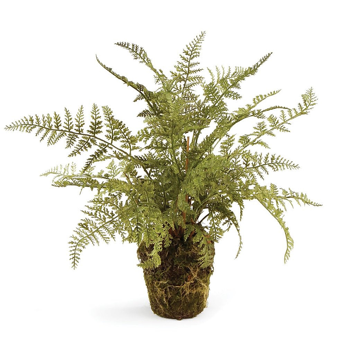 NAPA Home & Garden Soft Fern Drop-in 13"