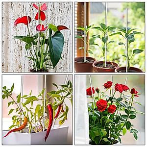 Plant Stakes,Plant Sticks 20PCS Acrylic Clear Plant Support Stakes,18 Inches Garden Single Stem Orchid Stakes for Indoor and Outdoor Plants,Orchid,Potted Plants,Tomatoes,Flowers（with 20PCS Clips）