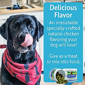 DakPets Glucosamine Chondroitin, MSM, Hip & Joint Supplement for Dogs, Organic Turmeric Soft Chews, Supports Healthy Joint Function and Helps with Pain Relief 120-Count