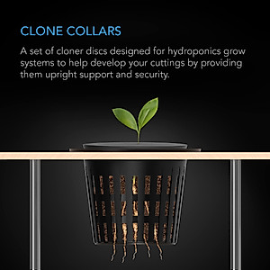 AC Infinity Clone Collar 4-Inch, Cloner Inserts with 8-Spoke Design, 50-Pack for Use with Net Cups in Hydroponics Growing Systems, Aeroponics, Cloning Machines, and Home Gardening