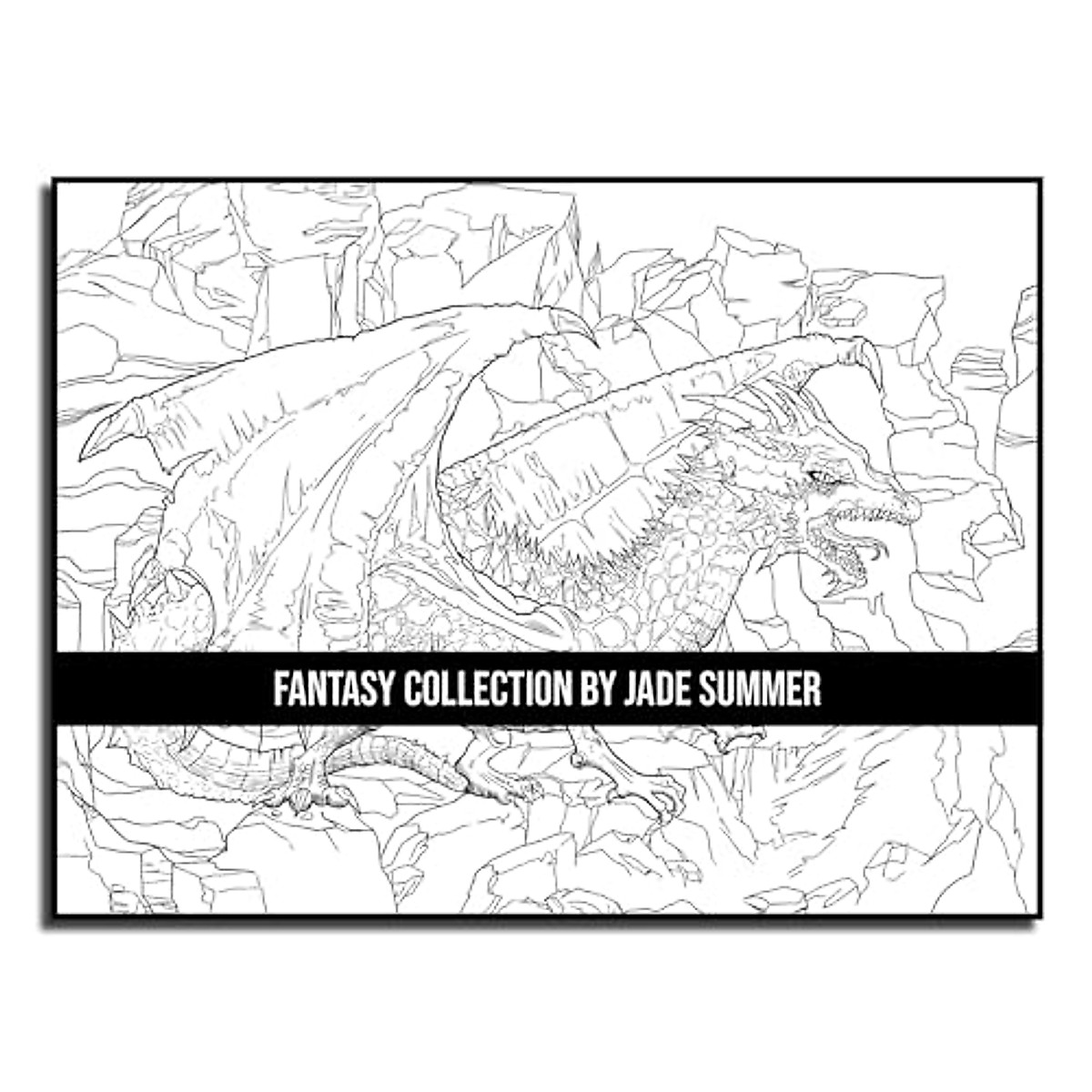 Fantasy Collection: An Adult Coloring Book with 100+ Incredible Coloring Pages of Mermaids, Fairies, Vampires, Dragons, and More!