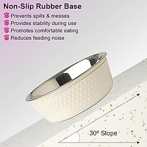 PetRageous 16010 Kona Stainless Steel Non-Slip Dishwasher-Safe Dog Bowl 3.75-Cup 6.75-Inch Diameter 2.5-Inch Tall for Medium and Large Dogs and Cats, White