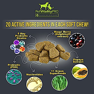 PetVitalityPRO Probiotics for Dogs with Natural Digestive Enzymes ● 4 Bill CFUs/2 Soft Chews ● Dog Diarrhea Upset Stomach Yeast Gas Bad Breath Immunity Allergies Skin Itching Hot Spots ● 60 Count