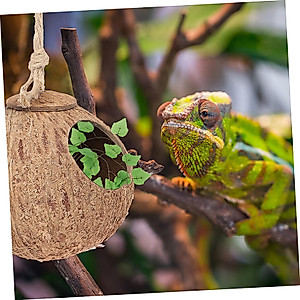 TEHAUX 4pcs Lizard Coconut Nest Pet House Natural Pigeon Bird House Crested Gecko Hide Parrot Cage Cages Bird Hut Pet s Coconut Shell Reptile Pet Nest Bird Cage Rope Hamster