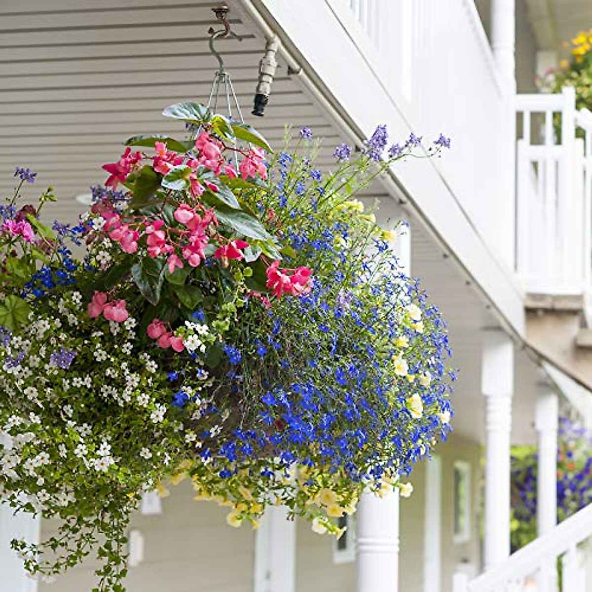 6 Pieces Swag Ceiling Hooks Heavy Duty Swag Hook Hanging Plants Chandeliers Wind Chimes Ornament Hooks for Home Office Kitchen (Bronze,Large)