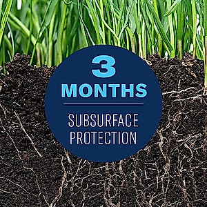 Bayer Crop #700288A 10LB Insect Killer/Lawn