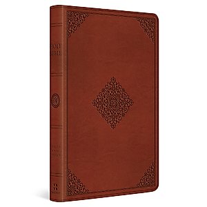 ESV Large Print Value Thinline Bible (TruTone, Tan, Ornament Design)