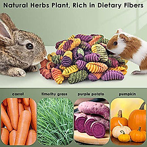 ERKOON Chinchilla Treats, Chew Toys for Teeth for Rabbit Guinea Pig Gerbil Rat Dwarf Hamster(Small Size)