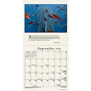 Pema Chodron 2023 Wall Calendar: Awakening the Heart - A Year of Inspirational Quotes | 12" x 24" Open | Amber Lotus Publishing
