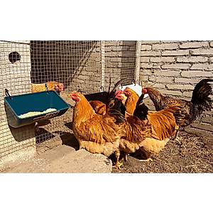 2 Pack Feed Trough and Waterer Bucket with Clips, for Goat Chicken Duck Sheeple Dog Piglets Deer Goose, Turkeys, Goat Feeder Supplies, 4.5 Quart (Appearance Patent Product)