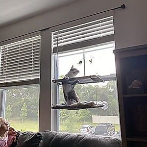 Cat Window Perches Deluxe Double Layers, Free Soft Lamb's Fleece Blanket and Toys, Up to 55 lbs, Space-Saving Cat Bed, Pet Kitty Resting Seat Safety Cat Hammock for Large Cats, Full 360° Sunbathing
