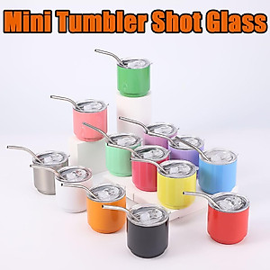 FUSSWIND Mini Tumbler Shot Glass with Straw - Mini Tumbler Shot Glass Set, Mini Tumbler Cups, Double Wall Tumbler Shot Glasses Set, Metal Mini 2oz Shot Glass Tumbler with Straw & Lid (3Pcs B)