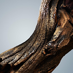 Hugo Boss BOSS Bottled Deodorant