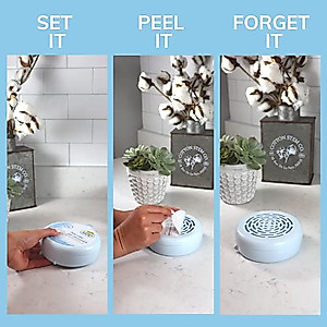 Citrus Magic Odor Absorbing Solid Air Freshener, Pure Linen, 8-Ounce, Pack of 6, 1 Pound (Pack of 3), 6 Count