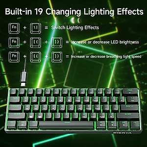 DIERYA DK61SE 60% Mechanical Gaming Keyboard, 61 Keys Anti-Ghosting, LED Backlight, Detachable USB-C, Ultra-Compact Mini Wired Keyboard with Quiet Red Linear Switch for Windows Laptop PC Gamer Typist
