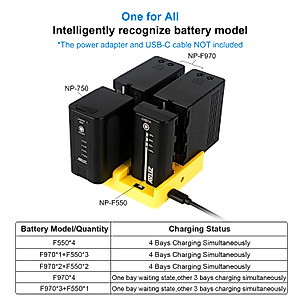 ZITAY 4 Channel NPF Battery Charger, Smart 4Bay PD 60W Fast Charger 4 Slot Simultaneous Charging Hub Fast Charger Compatible for Sony NP F970, F550, F570, F750, F980, F770, F960, F530, F330, 6KPRO