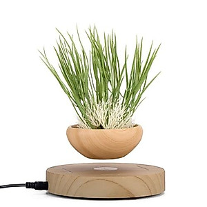 YBKJSTR LED Levitating Air Bonsai Pot Magnetic Levitation Suspension Flower Floating Pot Potted Plant Levitating Plant Pot for Display Decoration(Plant Pot Size, Height: 35mm, Diameter: 80mm)