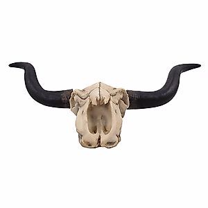 Long Horn Cow Skull Wall Hanging Longhorn Steer