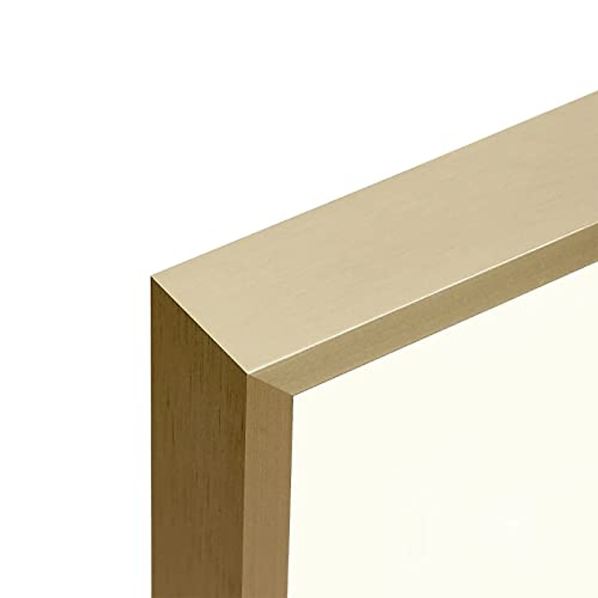 Golden State Art, Gold 16x20 Aluminum Frame for 16 x 20 Picture or 11x14 Photo with Mat - Shatter - Resistant Glass - for Wall Mount Decoration - 1 Pack