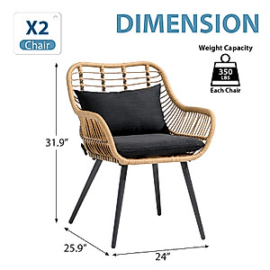 JOIVI Outdoor Patio Wicker Chairs Set of 2, Rattan Dining Chairs with Cushion and Armrest, Porch Chairs Outdoor Seating with Iron Frame, Balcony Furniture for Apartments, Lawn, Backyard, Garden, Black