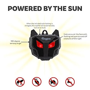 Sunnydaze Wall-Mounted Solar Nocturnal Animal Repellers - Waterproof Design - Red Flashing Lights - Battery Included - 2-Pack