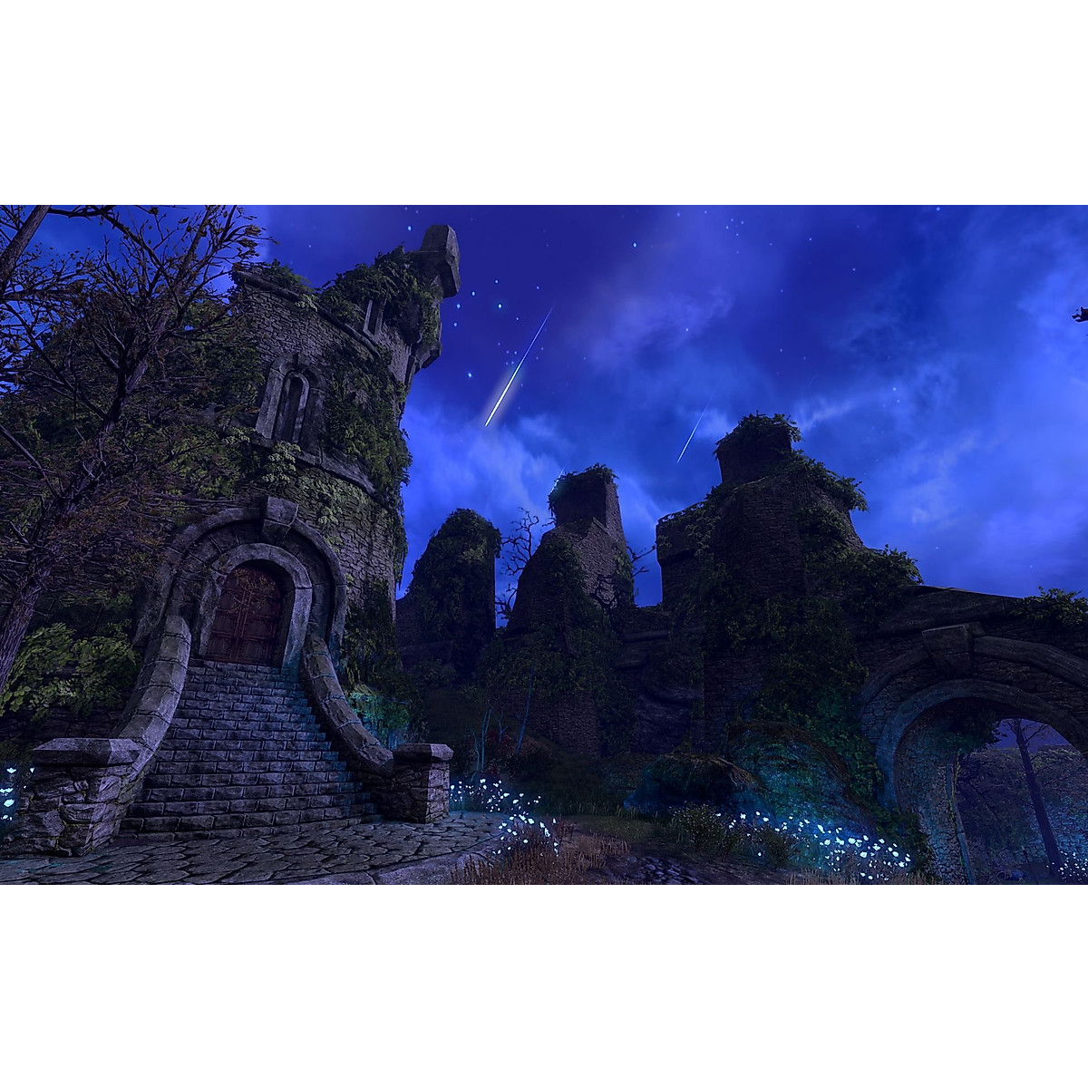 The Elder Scrolls Online