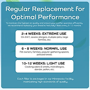Breathe Naturally - Extra Thick Replacement Carbon Pre-Filters Compatible with Hoover AH60015, WH10040, WH10060 - Premium Carbon Filter Replacement - Made in USA - Perfect for Home & Office(4 pack)