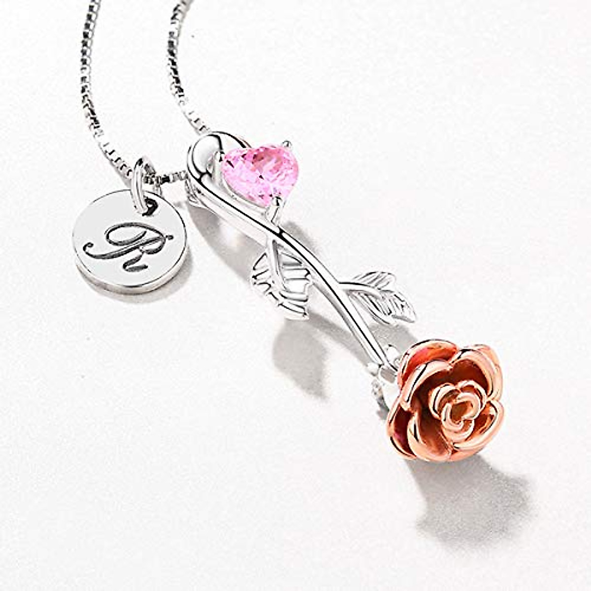 Getname Necklace Personalized Rose Heart Birthstone Necklace with A Initial Round Tag 925 Sterling Silver for Her Women Valentine?¡¥ Day Gifts