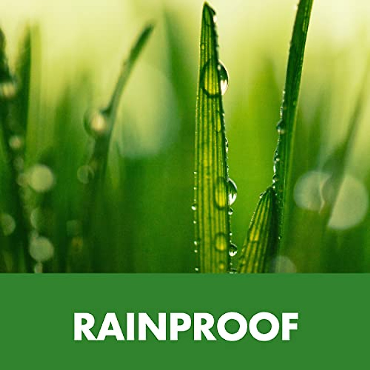 Spectracide Immunox Multi-Purpose Fungicide Spray Concentrate For Gardens 16 Ounces, Protects Up To 2 Weeks