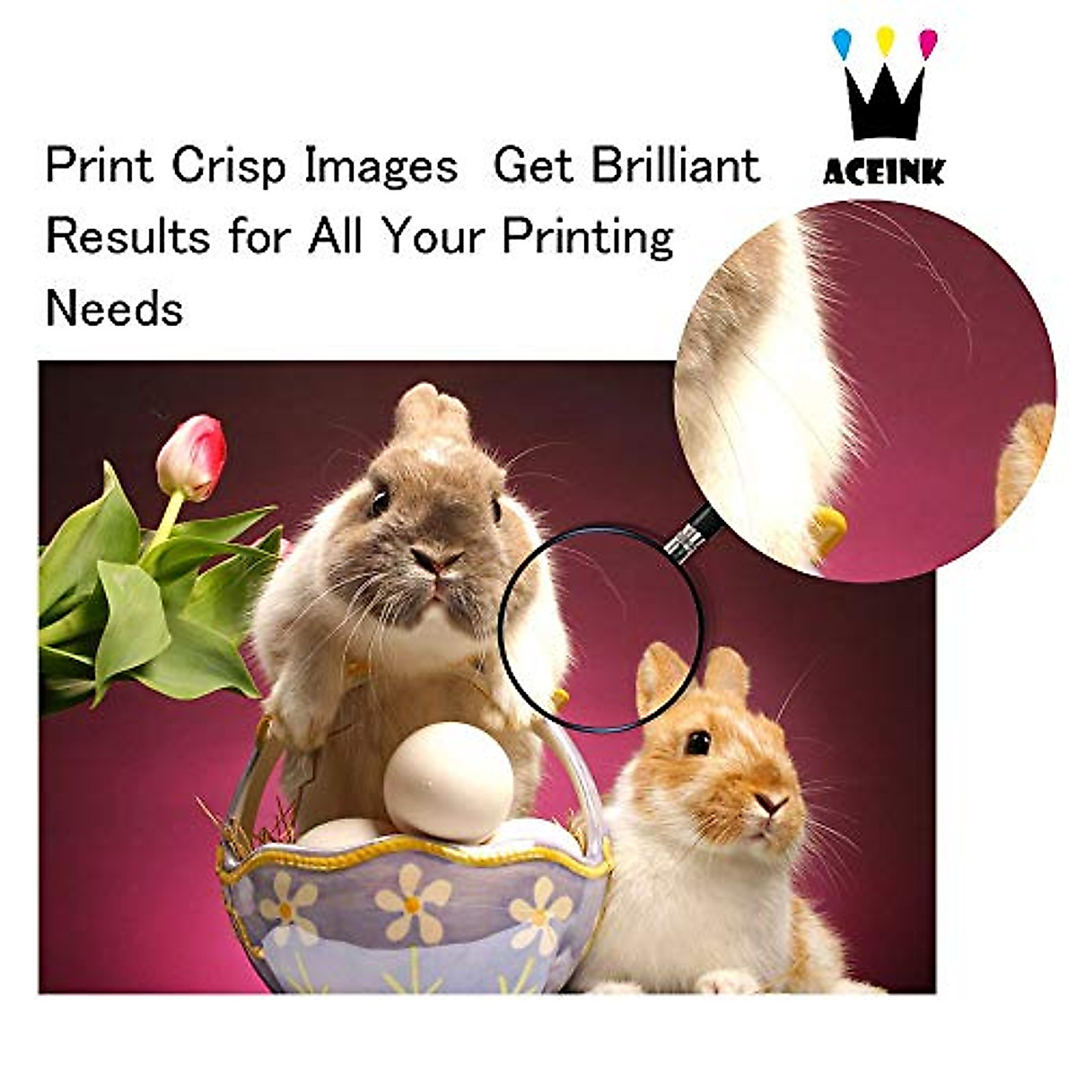 AceInk Compatible LC3019 XXL 2 Packs Black Ink Cartridges for Brother LC3019 Work with Brother MFC-J5330DW, MFC-J5335DW, MFC-J6530DW, MFC-J6730DW, MFC-J6930DW Inkjet Printer