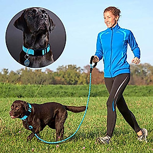 Ladoogo Reflective Dog Collar Padded with Soft Neoprene Breathable Adjustable Nylon Dog Collars for Small Medium Large Dogs (Collar+Leash M Neck 16"-19", Blue)