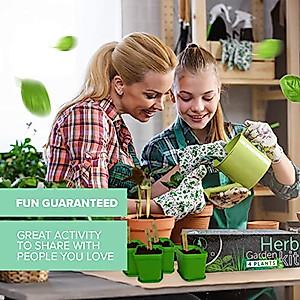 Indoor Herb Garden Starter Kit - DIY Kits for Adults - 4 Herb Seeds Growing Kit - Crafts for Adults - Home Seed Starter Grow Plant Kit - Craft Kits for Adults - Basil, Parsley, Cilantro, Chives