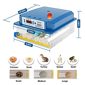 Vevitts 16 Eggs Incubators for Hatching Egg with Automatic Turner, Fahrenheit Temperature Control Chickens Quail Egg Incubator with Led Candler, 12V/110V/220V Incubators Kit for Farm Poultry