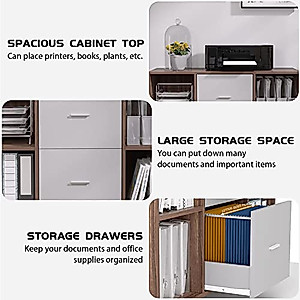 WILLIAMSPACE File Cabinet for Home Office，Filling Cabinets with 2 Drawer & 4 Open Shelves, Printer Stand with Storage Cabinet, Lateral Filling Cabinets on Wheels/Scanner (2 Drawer,Walnut + Grey)