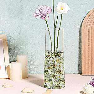 GASPRO 5 Pound Pebbles for Indoor Plants, 3/8 Inch Decorative Rocks for Bamboo, Vase, Succulents, Highly Polished and Smooth Surface, Jade