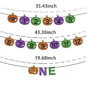 Halloween 1ST Birthday Party Decorations Pumpkin 12 Month Photo Banner for First Birthday Halloween First Birthday Decorations The Spooky One Birthday Decorations