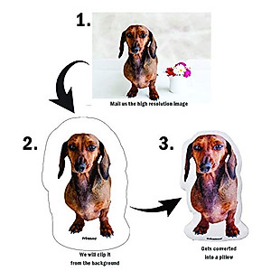 Printtoo Pet Memorial Pillow Custom, Pet Portrait Dog Pillows 3D Printing Pillow, Personalized Shaped Pillow, Custom Photo Pillow, Unique Birthday Gift Decor-16X16
