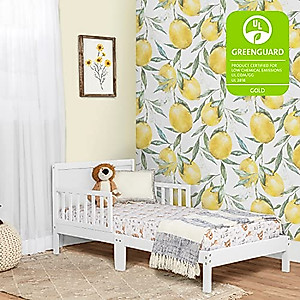Dream On Me 648-WHT Brookside Toddler Bed, 53lx29bx28h inches, White