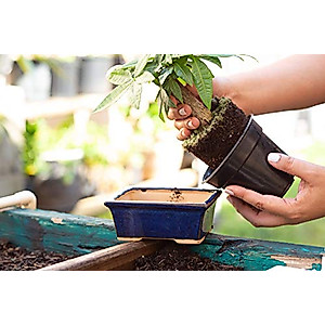 Glazed Ceramic Bonsai Pot - Decorative Planter for Dwarf Trees, Succulents, Small Plants - Blue Rectangular Container Perfect for Indoor and Outdoor Gardens, Table Centerpieces and Windowsill Décor