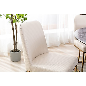 Wahson Set of 2 Faux Leather Upholstered with Woven Detail Dining Room Chairs, Classic Modern Fabric Chair for Dining Room, with Golden Metal Frame, Beige