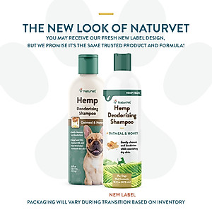NaturVet – Hemp Deodorizing Shampoo for Dogs - Plus Oatmeal & Honey – 16 oz – Gently Cleanses & Deodorizes Skin & Coat – Enhanced with Hemp Seed Oil, Coconut Oil & Aloe Vera Extract