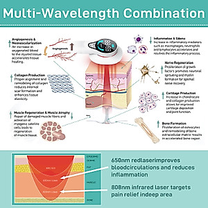 LASWHGDPET Cold Therapy for Dogs - 2024 Upgraded Infrared Red Light Therapy Vet Device, Portable Therapy Device for Pain Relief Arthritis, Spinal, Promote Blood Circulation (White)