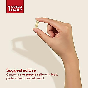 ANDREW LESSMAN Essential-1 Multivitamin 2000 IU Vitamin D3 180 Small Capsules – 100 mcg Methyl B12. CoQ10 Lutein Lycopene Zeaxanthin. High Potency. No Additives. Gentle Ultra-Mild. One Daily Capsule