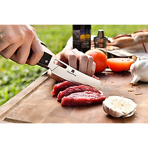 ZhengSheng Folding Chef Knife 4.8" Sharp 440A Stainless Steel Blade G10 Handle Pocket Foldable Kitchen Knife Utility Knife for Outdoor Camping Cooking
