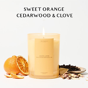 Benevolence LA Fall Candles - Orange, Cedarwood & Clove Scented Candle for Home | 11oz, 60-Hour Burn | Natural Wax, Cotton Wick | Sun-Kissed Collection